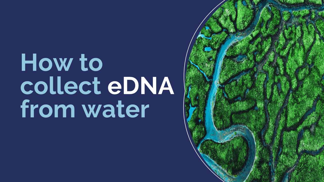 River Barrier Removal Bootcamp - eDNA survey